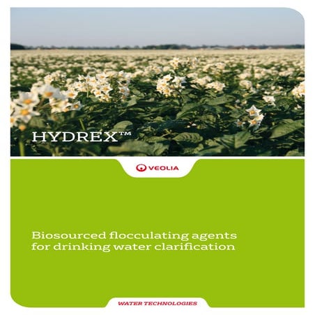 Brochure_A4_Hydrexfloculants_EN_LR | PDF