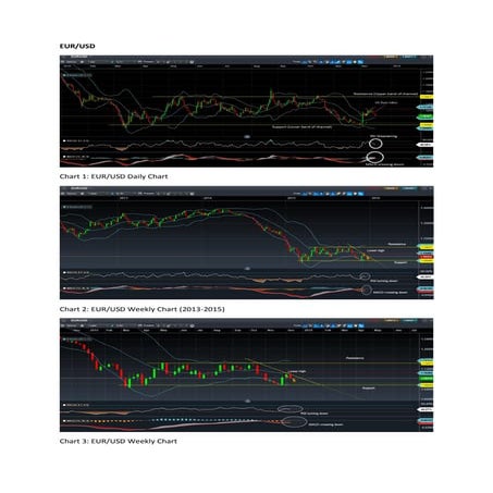 CMC Report English | PDF