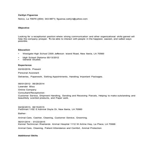 Susan M WILES RESUME | DOCX