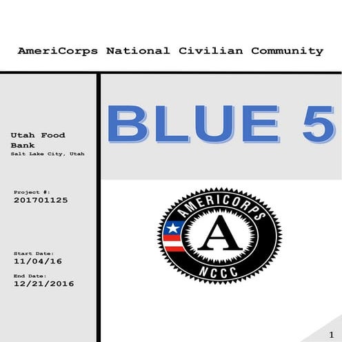 Blue 5 Round 1 Portfolio | PDF
