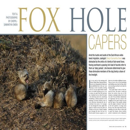 AG_0608_Bat-eared foxes | PDF