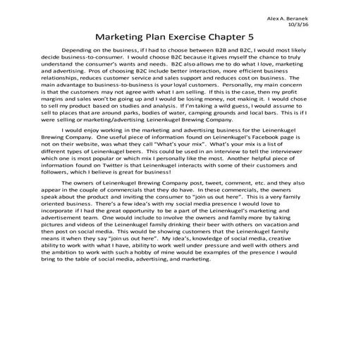 Marketing Plan Exercise Chapter 5 | DOCX
