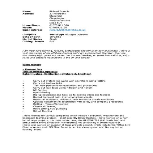 UPDATED CV 2015 copyNEW | PDF | Business | Business and Finance