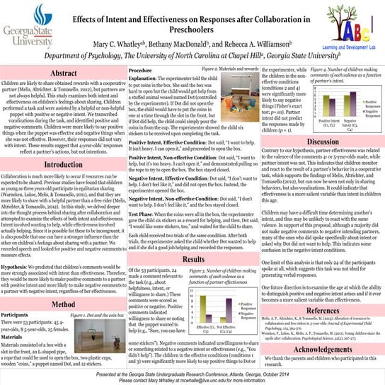 Vividness effect on communication | PDF