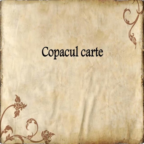 0 copacul carte | PDF