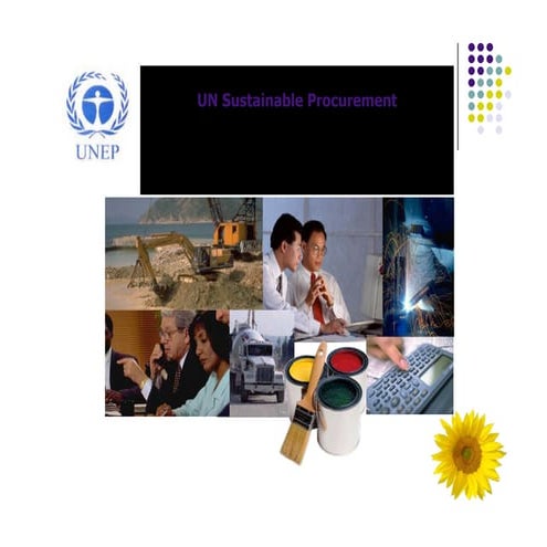 Un Sustainable Procurement | PDF