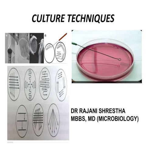 0culture techniques.ppt