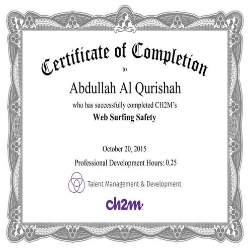 Web Surfing Safety | PDF