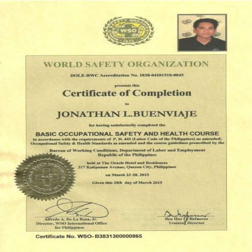 WSO CERTIFICATE | PDF