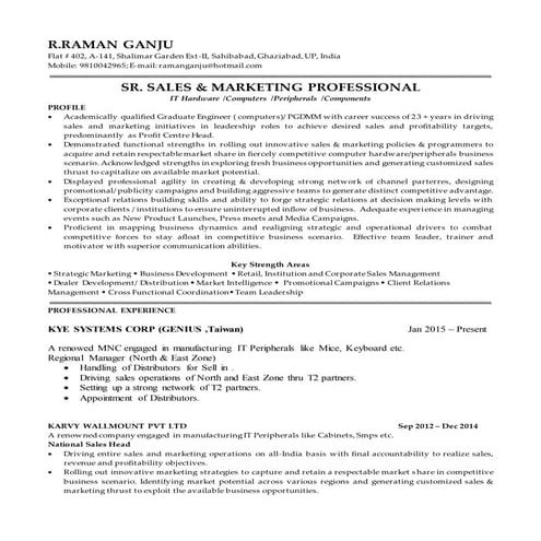 Key Account Manager Profile One Pager Resume | PDF