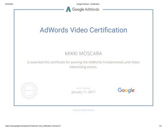 Google Partners - Certification | PDF