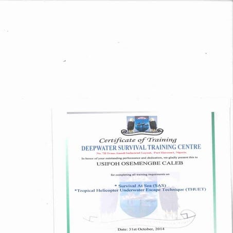 THUET Certificate | PDF