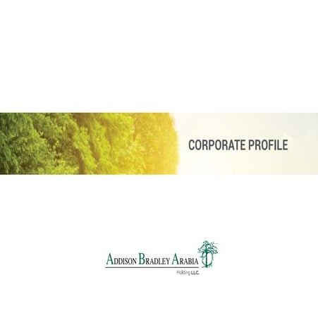 ABA COMPANY PROFILE - DIGITAL | PDF | Insurance | Personal Finance