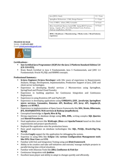 priyanka_Resume | DOC | Cloud Computing | Internet