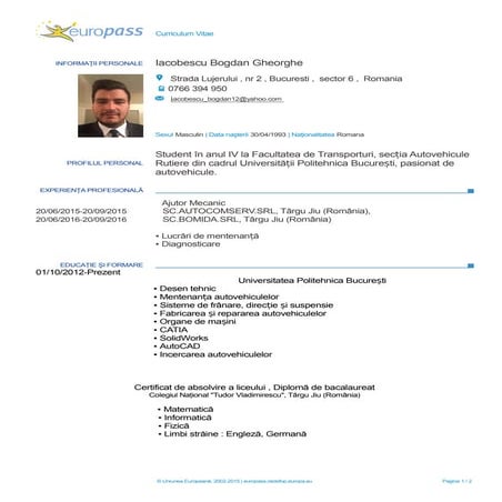 Iacobescu Bogdan CV | PDF
