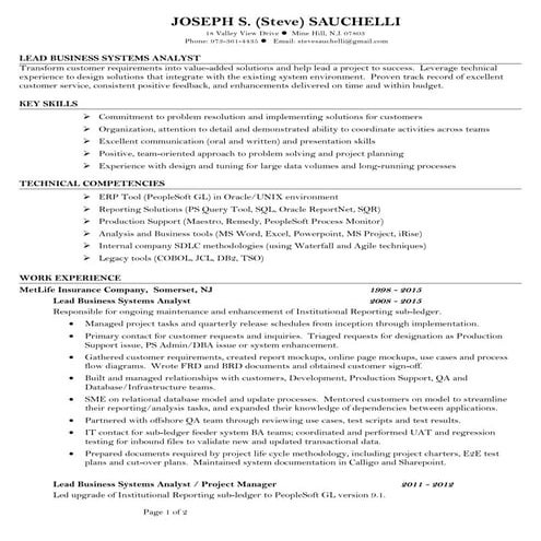 Resume - Steve Sauchelli - Lead BSA | PDF