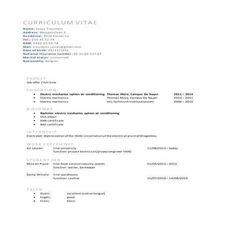Curriculum Vitae ENG | PDF