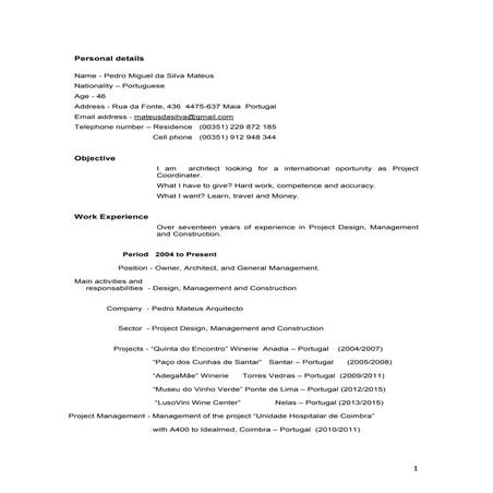 CV Pedro Mateus Inglês | PDF