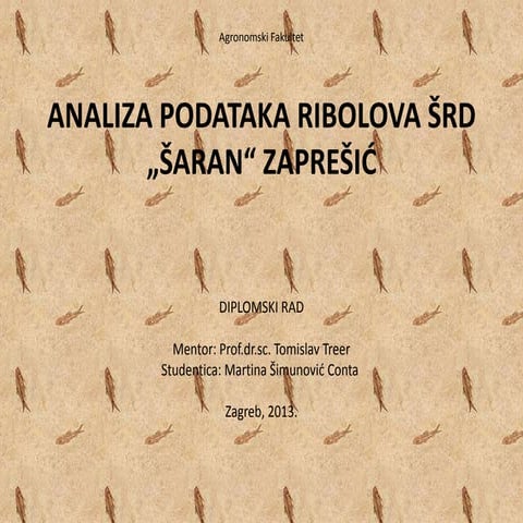 prezentacija diplomskog rada | PPTX