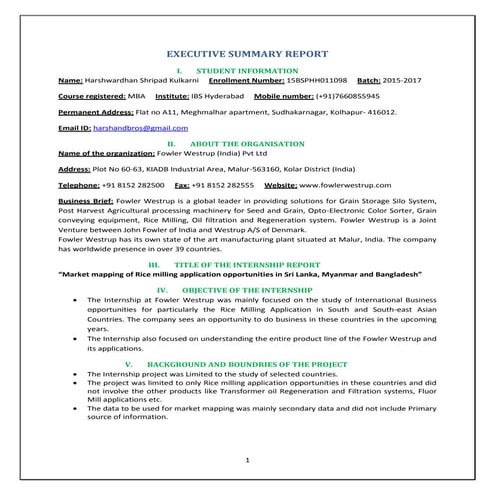 Executive Summary report | PDF