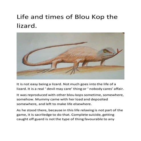 Life and times of Blou Kop the lizard | DOCX