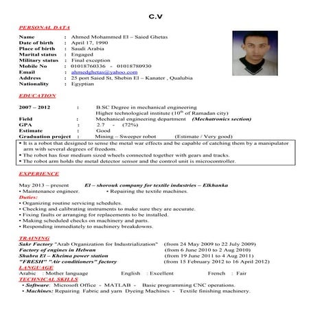 Professional CV | PDF