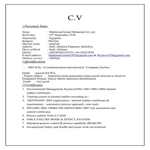 CV M. ismail | DOC | Computing | Technology & Computing