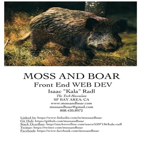 MBdev | PDF | Social Networking | Internet