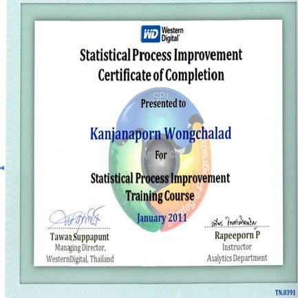 Statistic Certificate | PDF