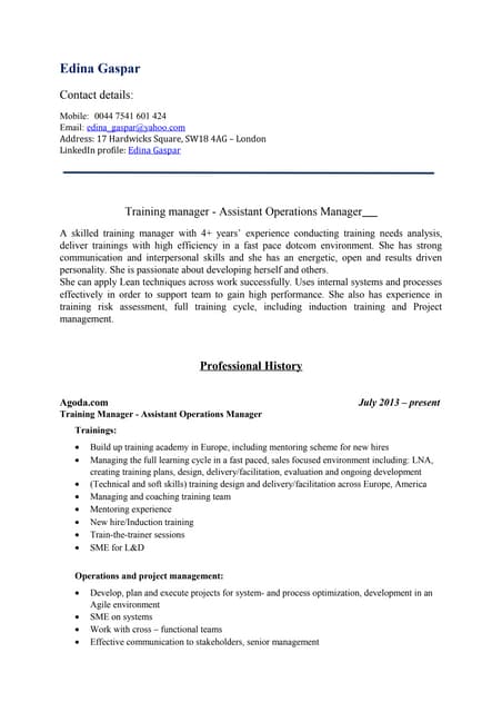 CV | PDF | Programming Languages | Computing