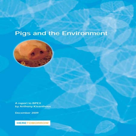 Pigs and the Environment 8Jan | PDF