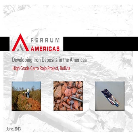 Ferrum Corporate June 2013 (4) | PDF