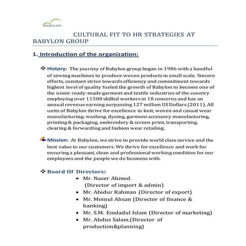 CULTURAL FIT TO STRATEGIES ON BABYLON GROUP | DOCX