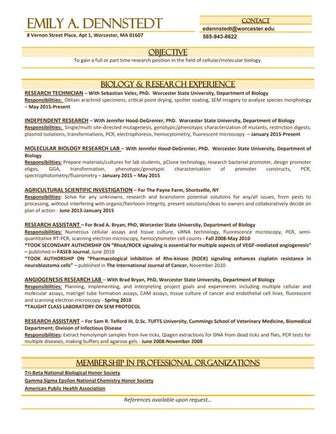 Zaky-Curriculum Vitae, 2015 | PDF