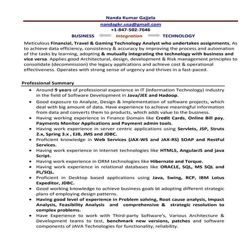 Nanda_Kumar_9_Yrs_Java_Hadoop | PDF