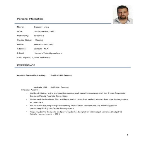 CV Bassem Helou 2015 | PDF