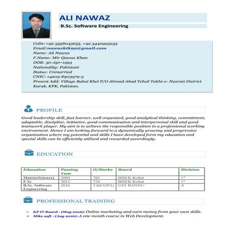 Ali CV Formate 1 | PDF