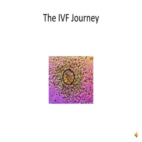 The IVF Journey | PPTX | Infertility | Reproductive Health