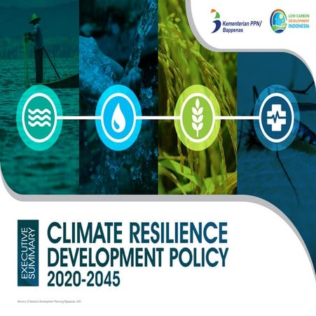 Executive Summary Climate Resilience Development.pdf