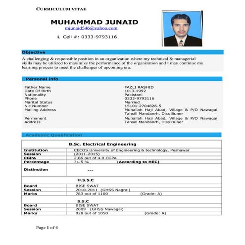 Junaid-Cv | DOC