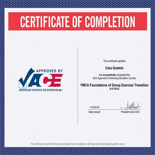 ACE-Course-4a57v677 (1) | PDF
