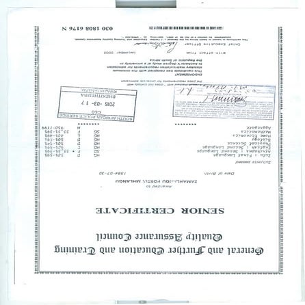 matric certificate | PDF