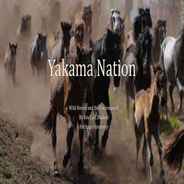 Yakama Nation-Wild Horses | PPT