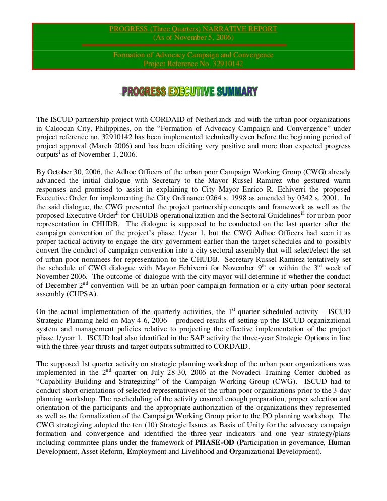 progress-report-executive-summary