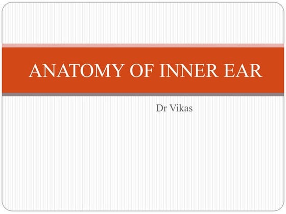 Water vascular system of star fish | PPT