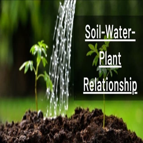 Soil -water -plant relationship | PPTX