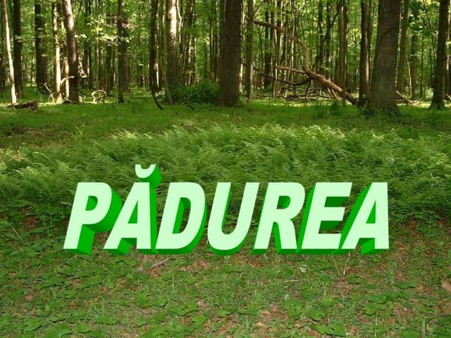 1 1 Purtatorii De Informatie | PPT