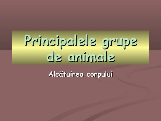 Dinozaurii- prezentare școlară clasa 3 - | PPTX