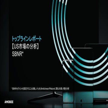 インバウンド戦略のためのアメリカのSBNR層理解 | PPT