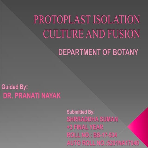 protoplast culture isolation and fusion | PPTX